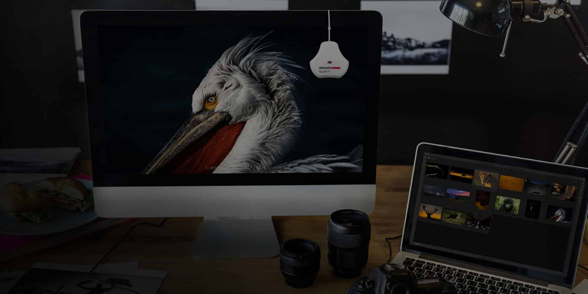 Colour – why calibrating your monitor is important - thefingerprint